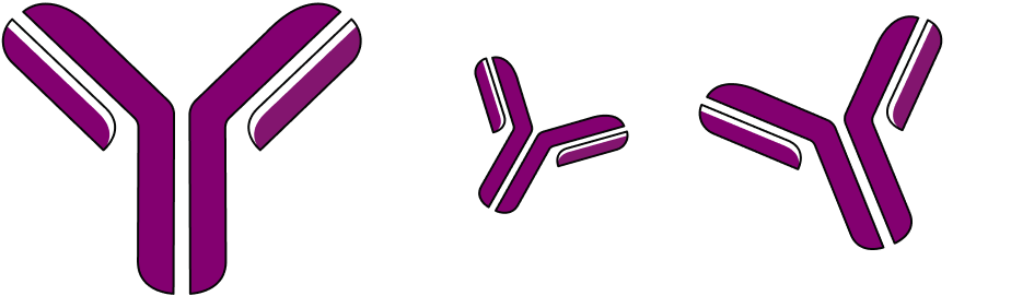 Using Xolair® (omalizumab) For Chronic Hives Treatment