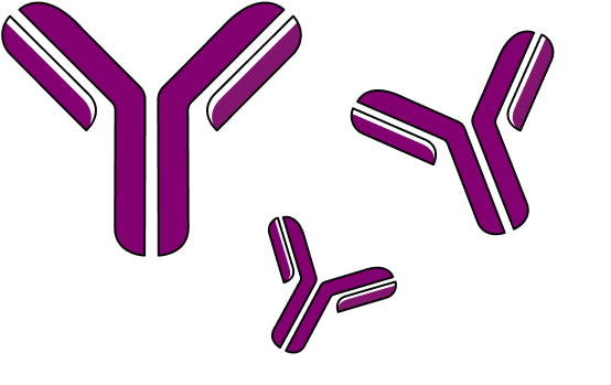 Using Xolair® (omalizumab) For Chronic Hives Treatment
