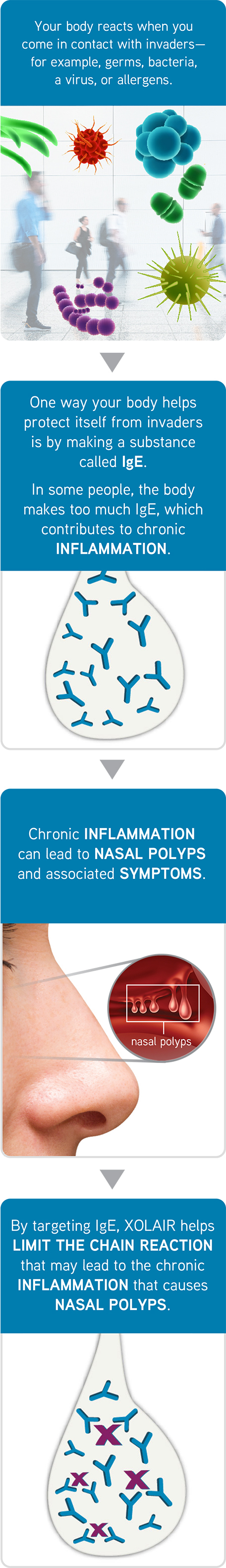 How XOLAIR® (omalizumab) May Work for Chronic Rhinosinusitis with Nasal ...